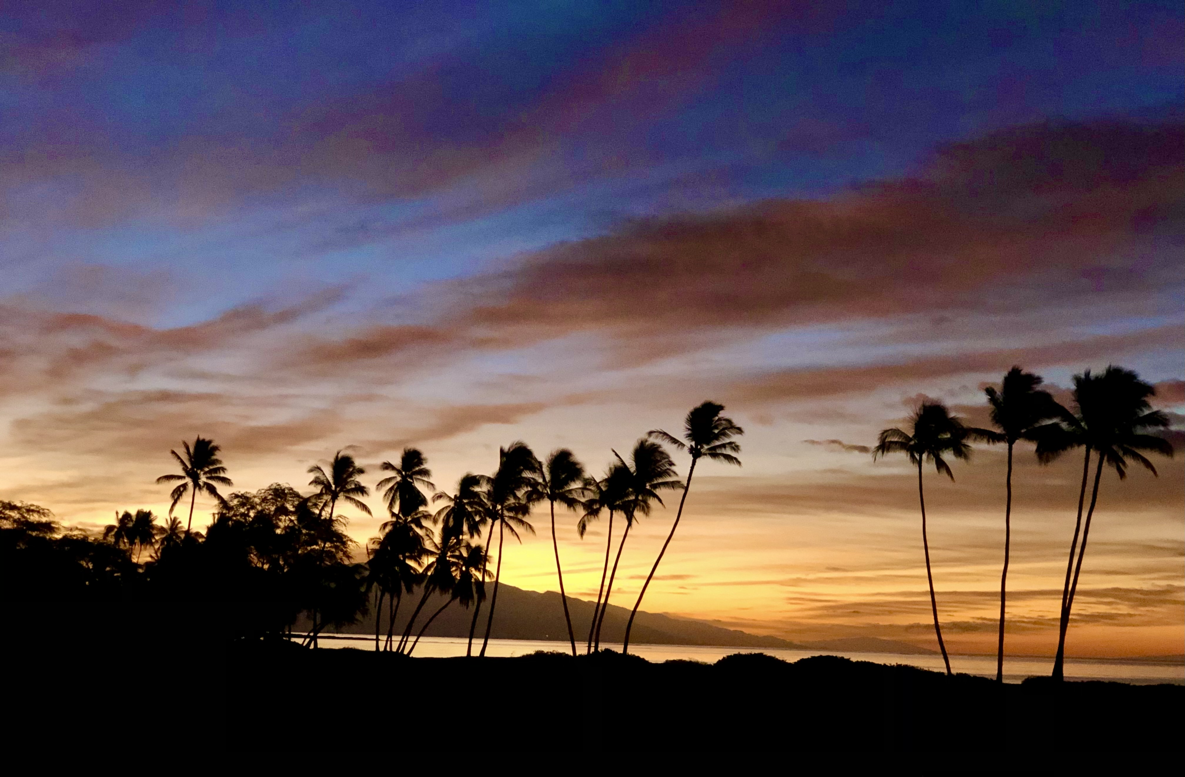 Providing Real Estate Services in Hawaii - Aloha, Welcome to Our Website!